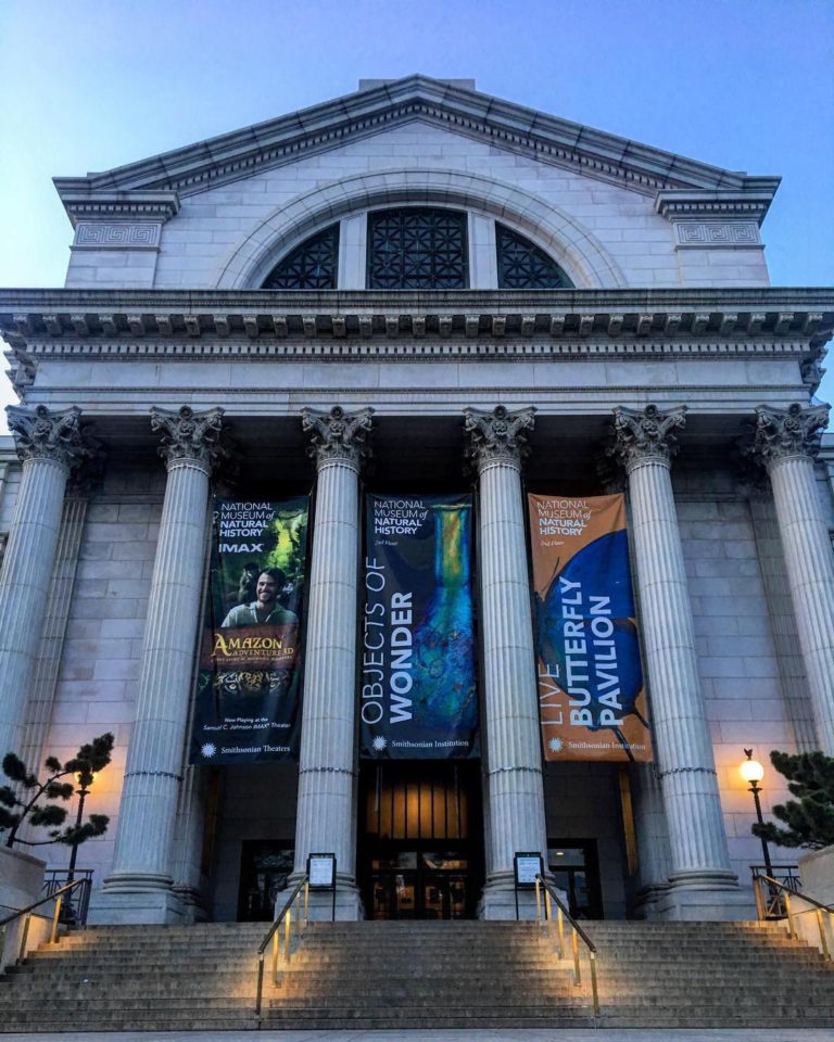 Amazon Adventure Movie Poster - Chargefield